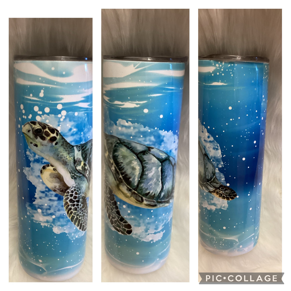 Turtle – Custom Reasons